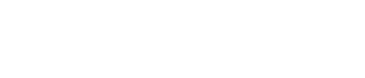 PROGRAMS AND SERVICES - TSPI