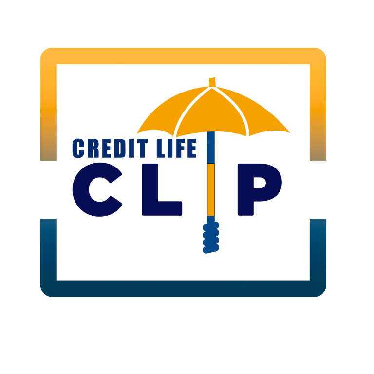 PROGRAMS AND SERVICES - TSPI